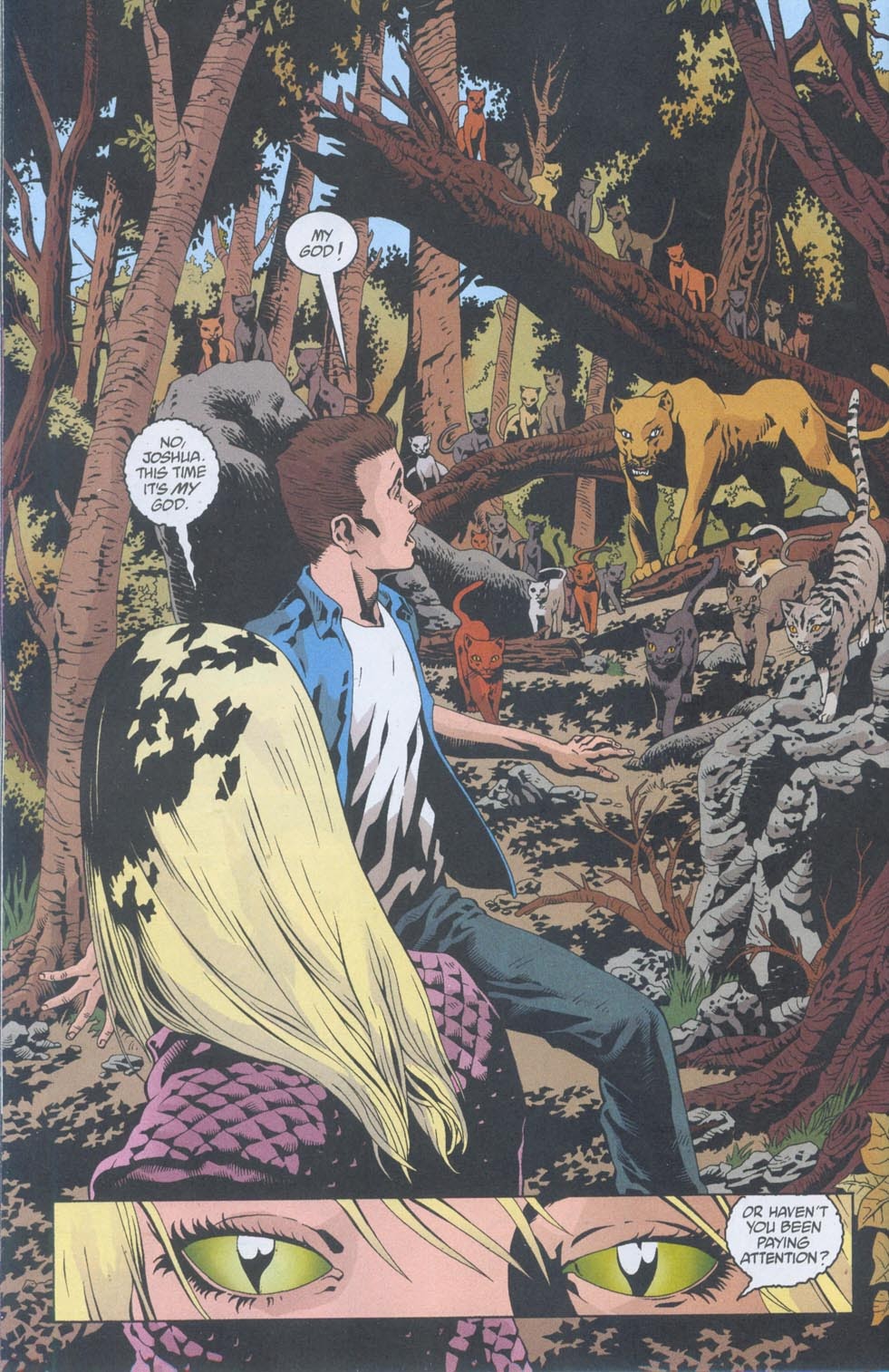 Autour de The Sandman : l'univers étendu. - James et Faye